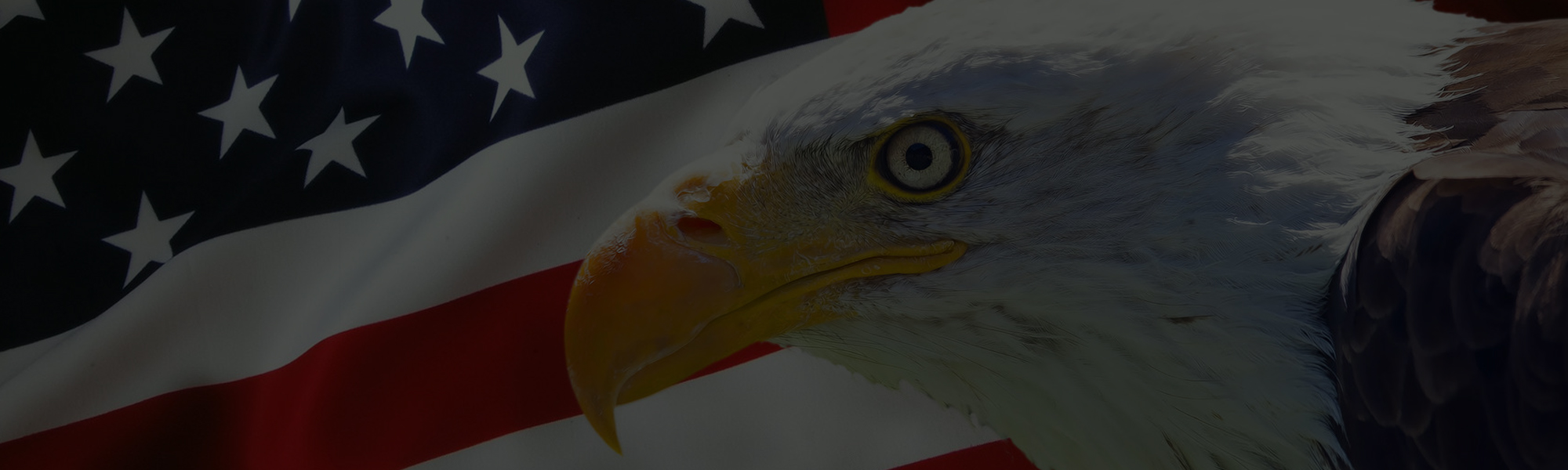 Enterprise Acquisition Gateway for Leading Edge Solutions II (EAGLE II)